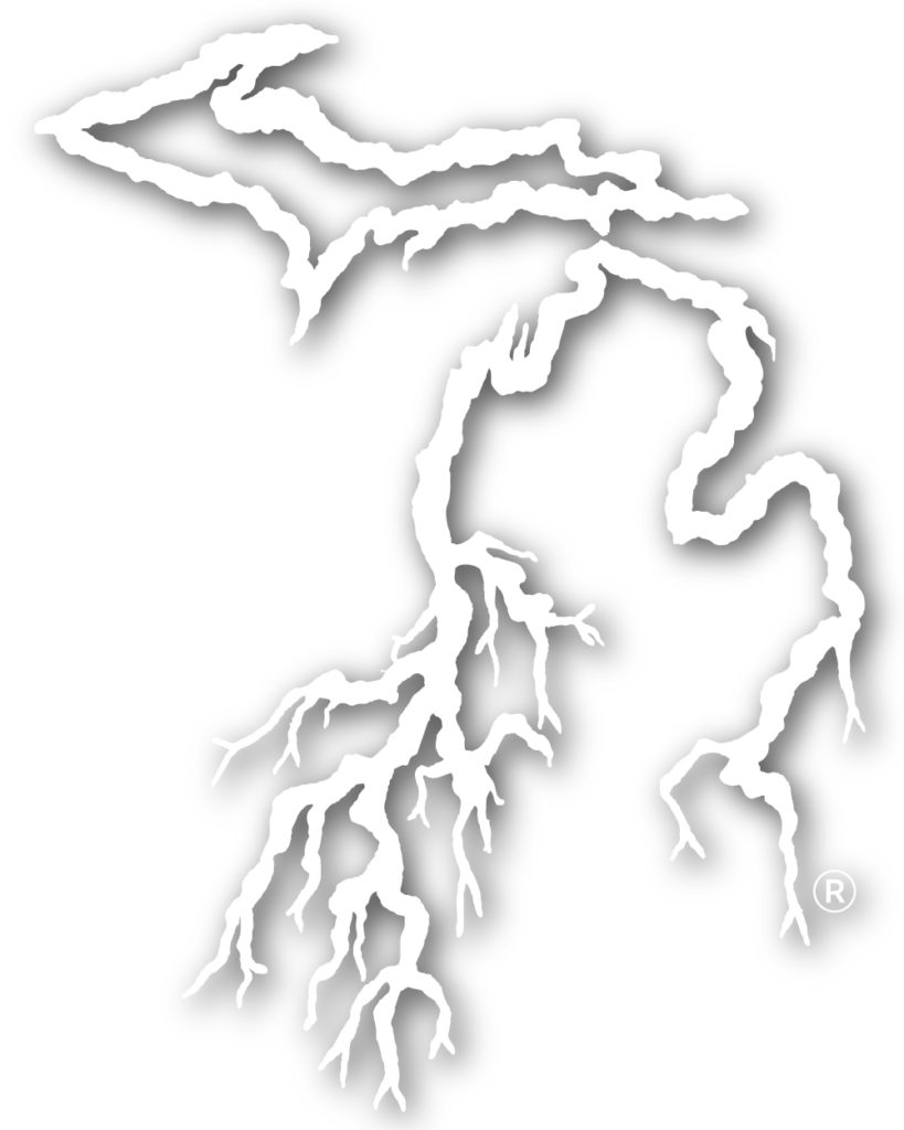 Michigan Roots Decal - My Michigan Roots©